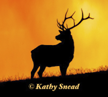 Share the View - 2022 Winners